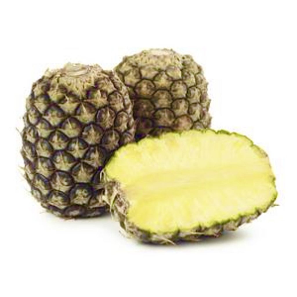 Pineapple Topless - small/medium - Biviano Direct