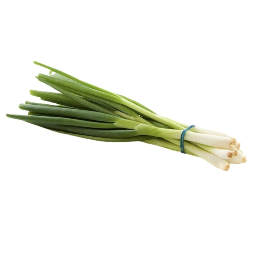 Spring onion