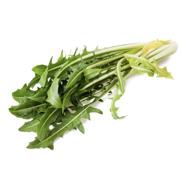 Vegetables & Herbs - Biviano Direct