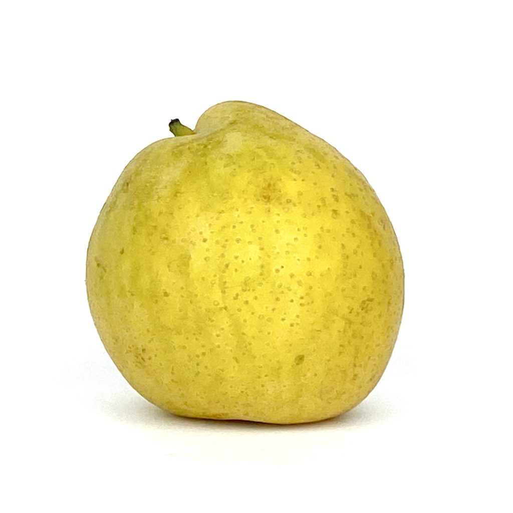 Pears - Nashi