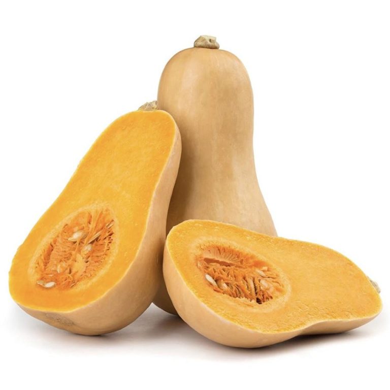 Pumpkin Butternut