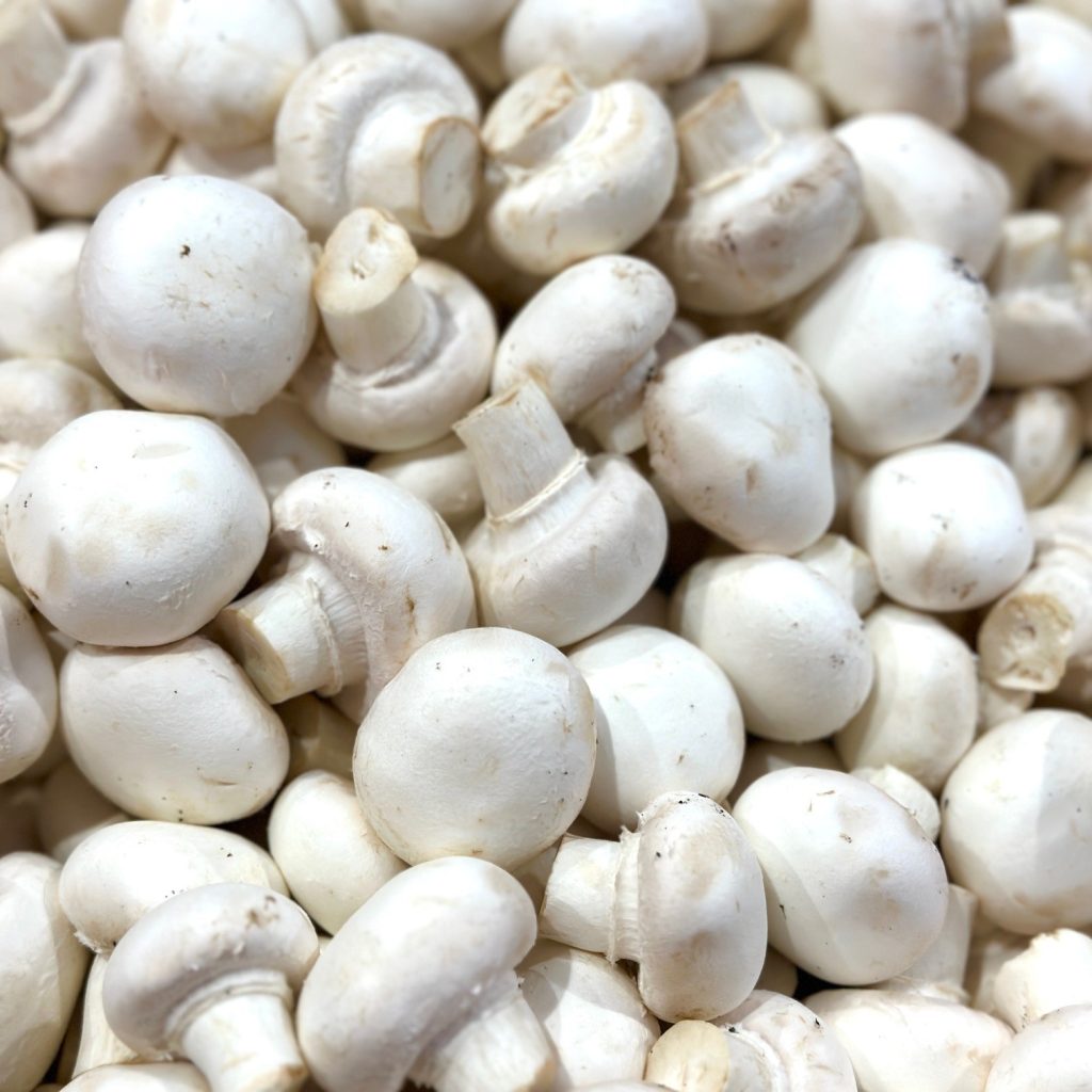 Mushroom - Buttons (baby small mushrooms)