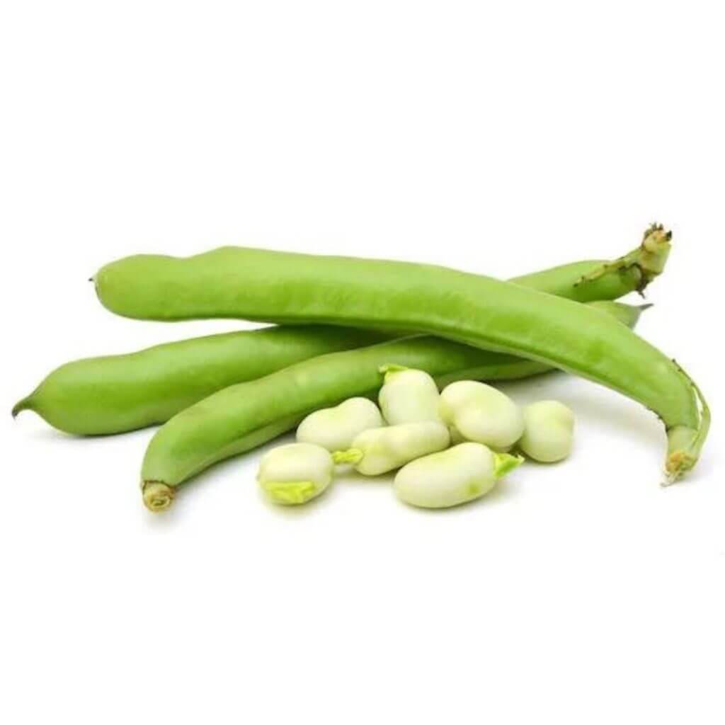Broad Beans Faba Beans