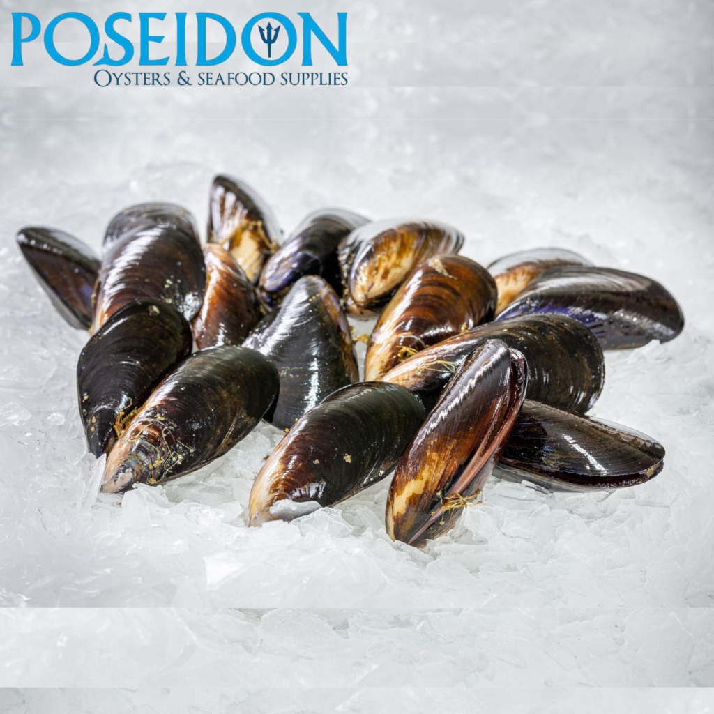 Selection of Seafood Crustaceans, Fresh Fish, Molluscs, Frozen Prawns