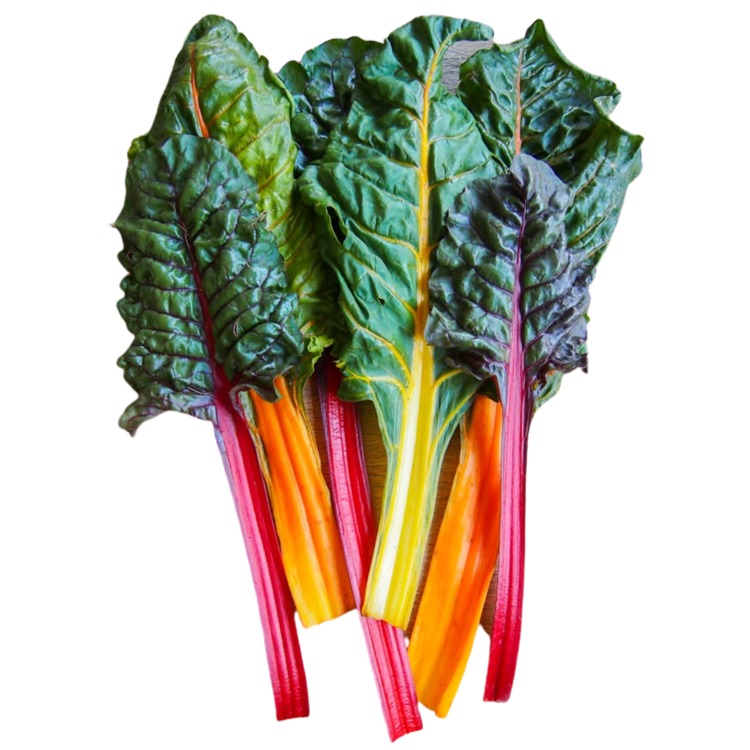 Chard - Rainbow - bunch