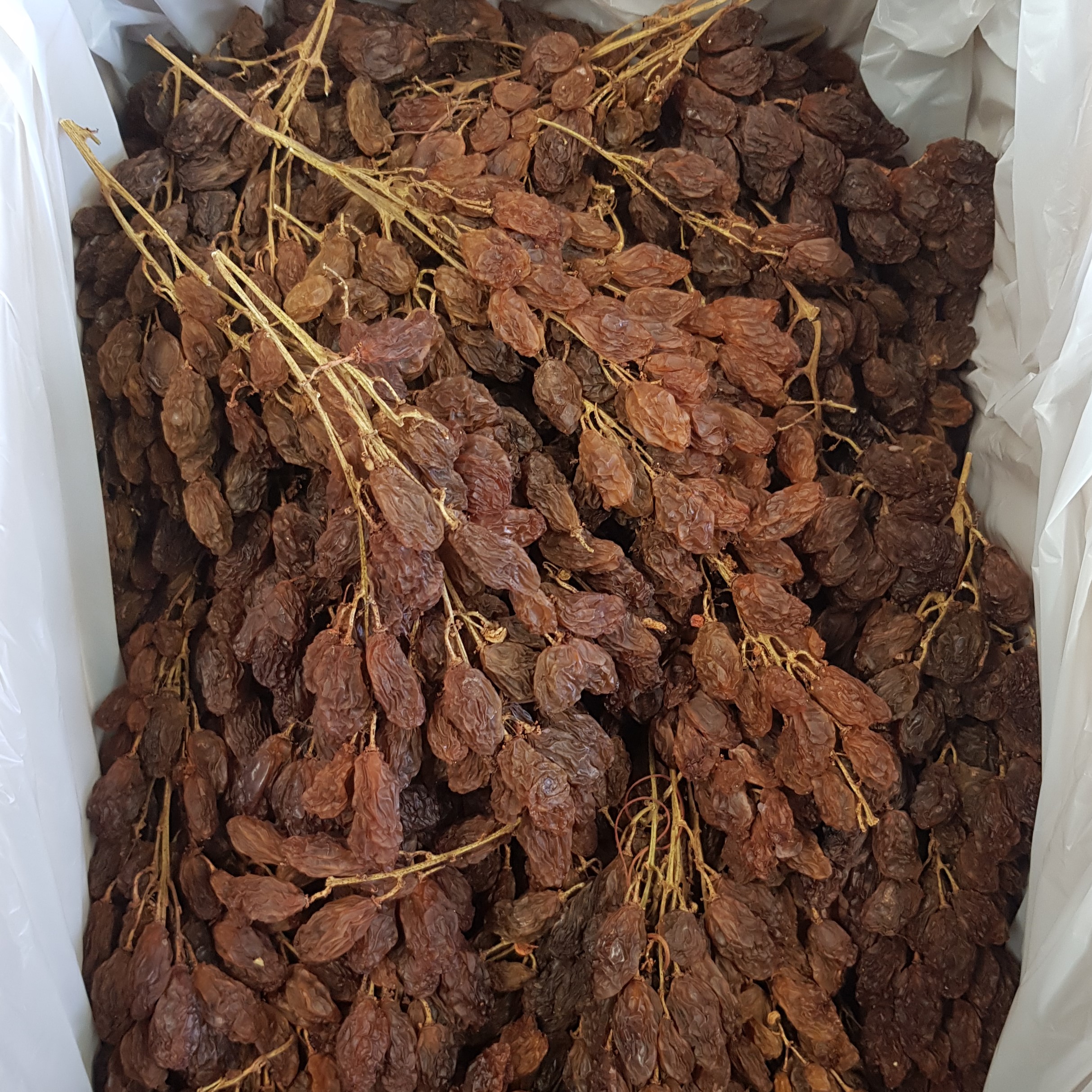 Grapes - Dried Muscatel - Biviano Direct