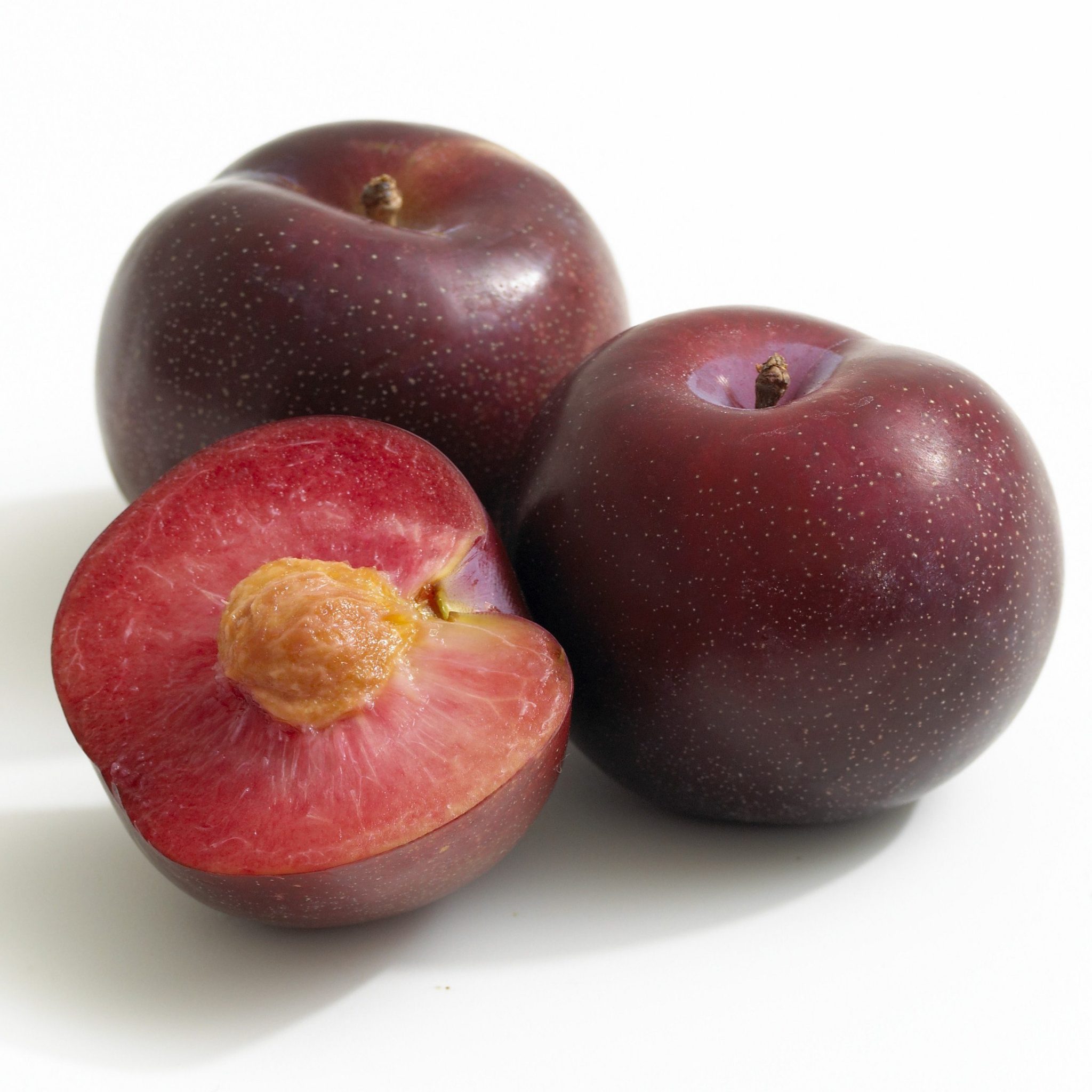 Plums - NEW SEASON Imported - kg - Biviano Direct