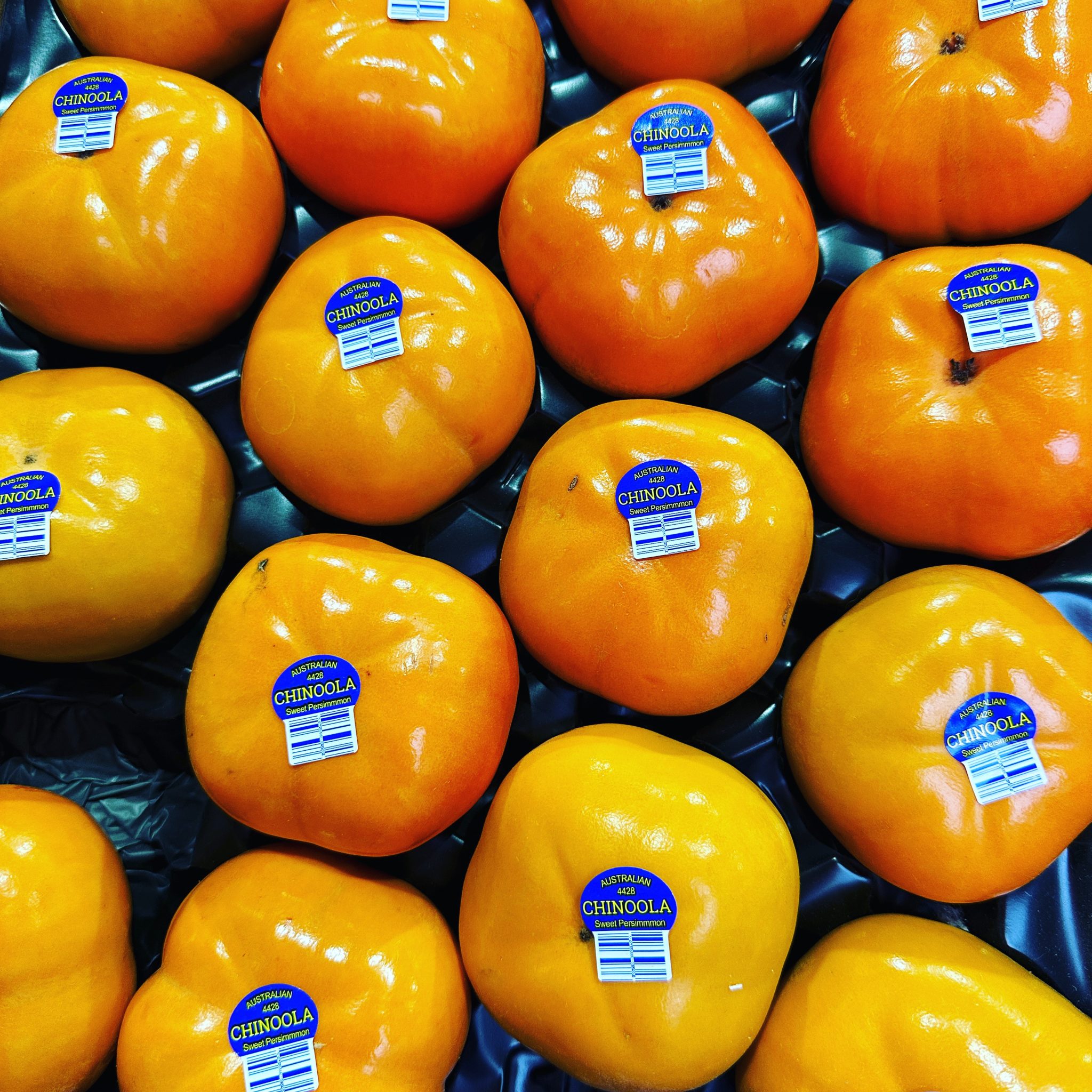 Tropical, Stone Fruits & Melons Archives - Biviano Direct