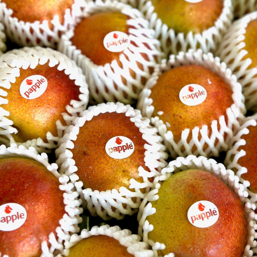 Apples, Pears, Bananas & Citrus Archives - Biviano Direct