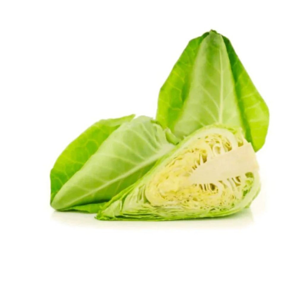 Biviano Direct - Cabbage Baby Sugarloaf | Each